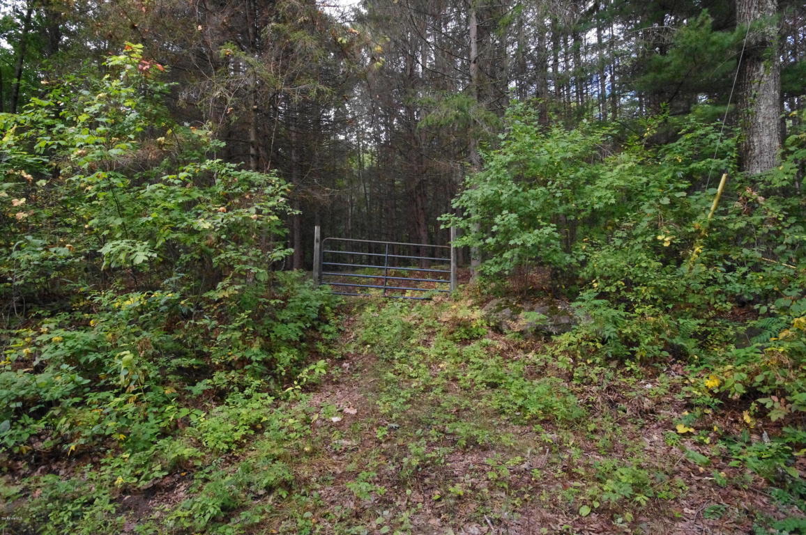 Real Estate Listings for Michael Harrigan | Barnbrook Realty, Great ...