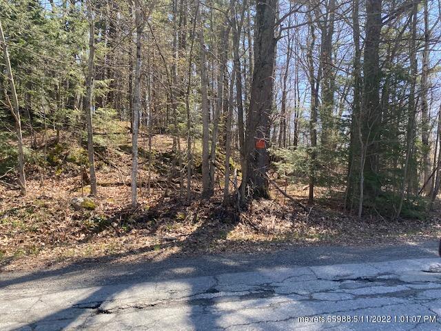 Real Estate Listings for Trisha Ware | Coldwell Banker Plourde Real ...