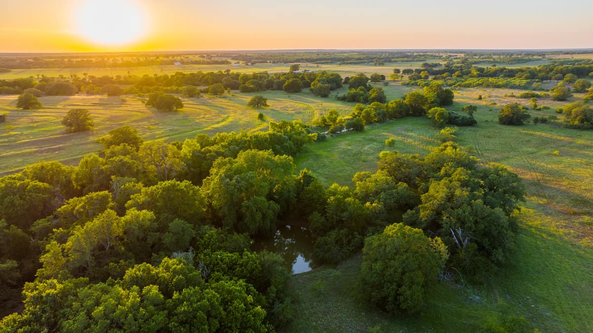 TX Land for Sale with 500 to 1000 Acres | West and Swope Ranches