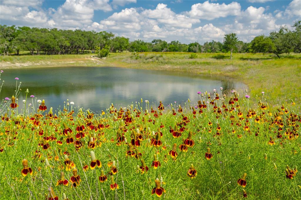 Austin TX Land & Ranch Properties For Sale | Phyllis Browning Company