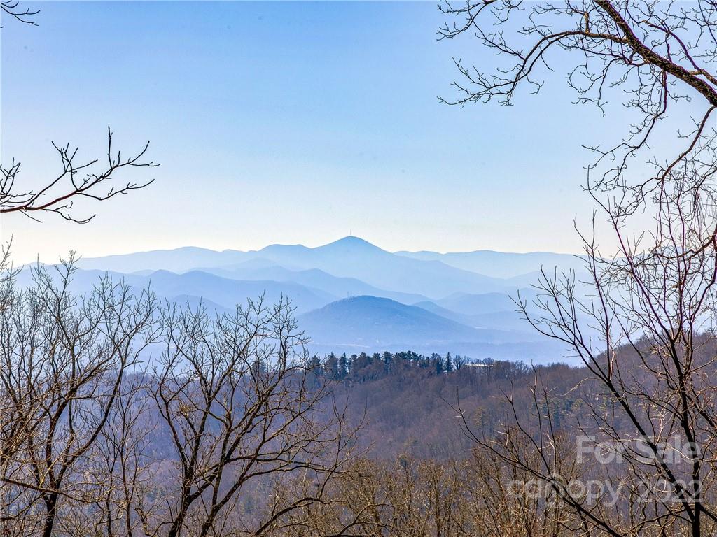 Wildcat Cliffs Asheville Real Estate Listings