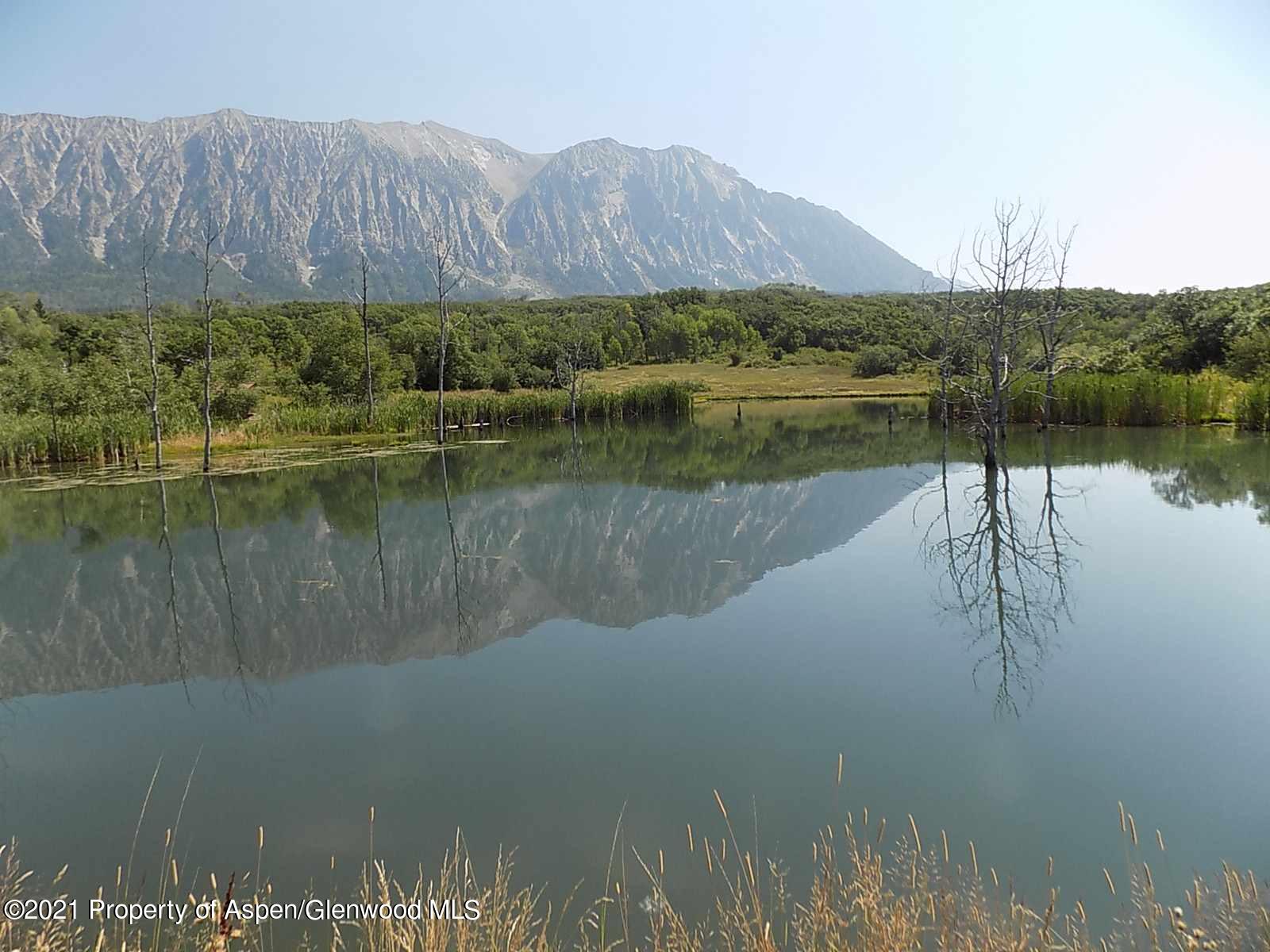 Real Estate Listings for Jane W. Moy | Coldwell Banker Mason Morse ...