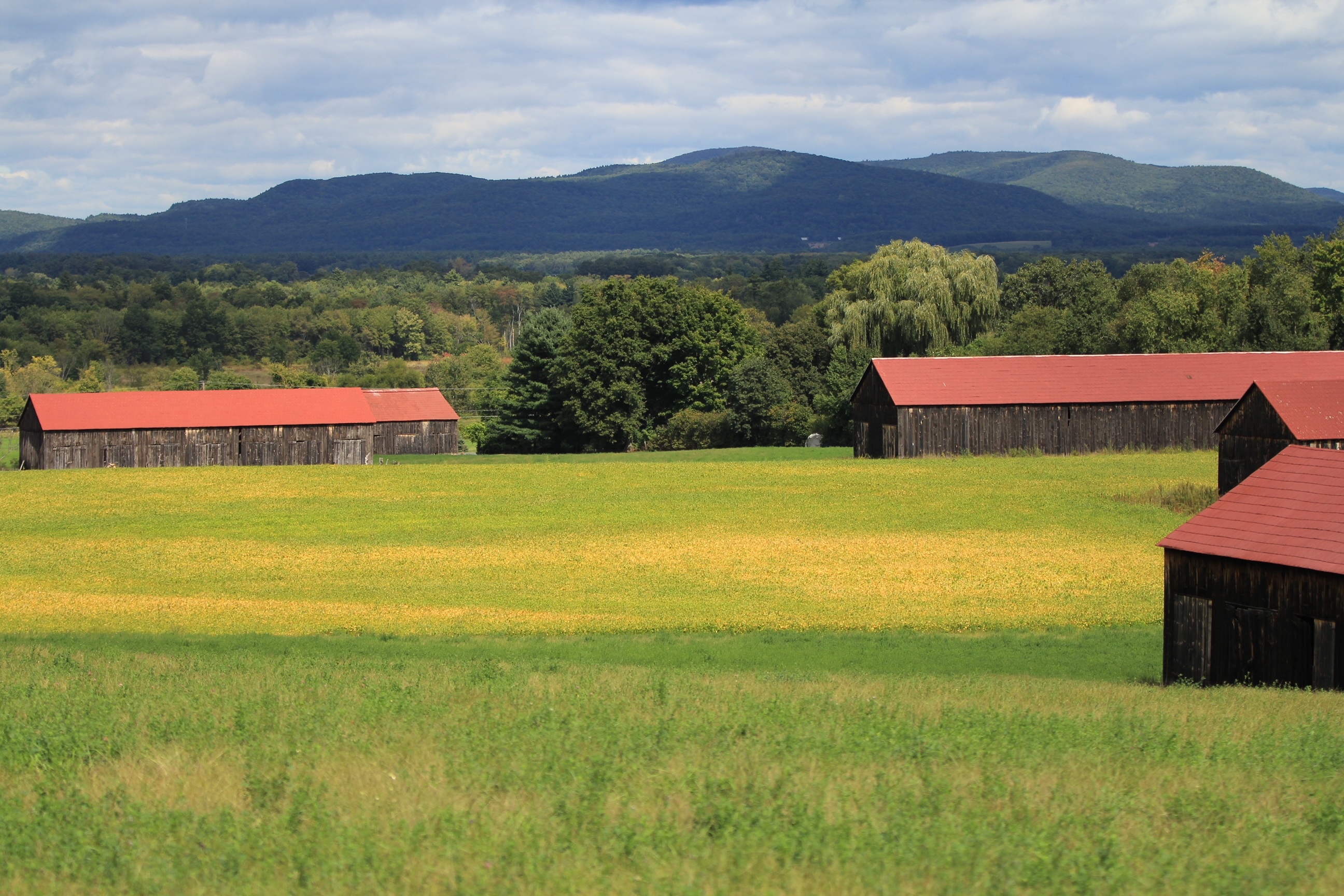 Farms For Sale Western Mass | Pioneer Valley | Franklin County